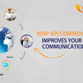 API Communications: 5 Key Factors to Maximize the Productivity