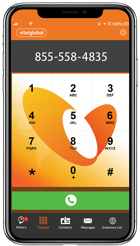 Vitel Global Communications Company Overview